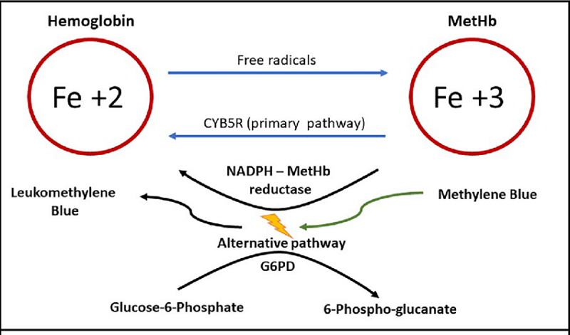 Methemoglobin huyết